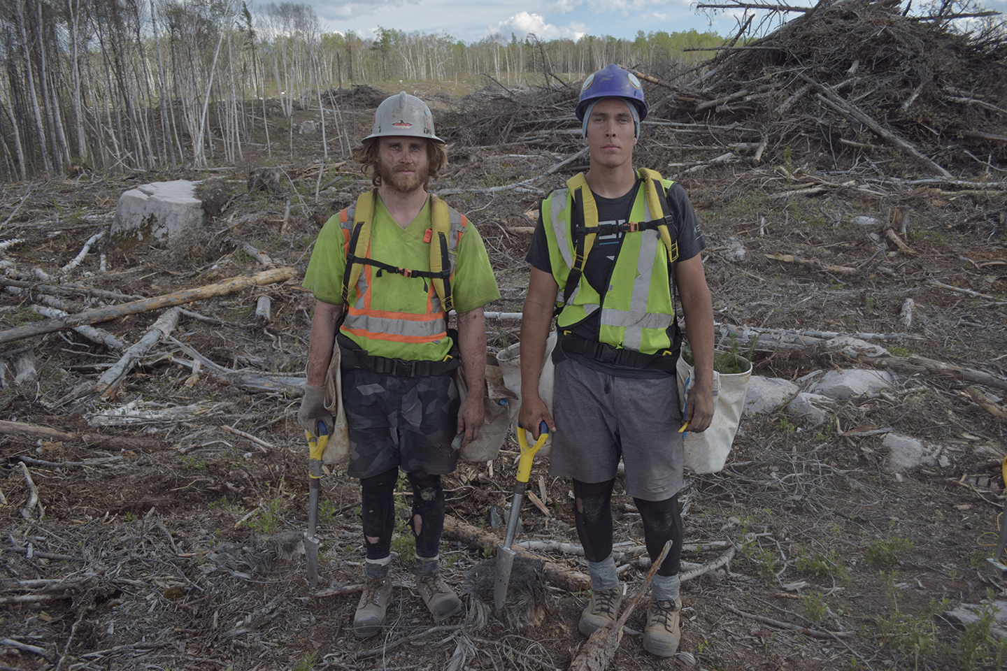 Home | Outland Planting